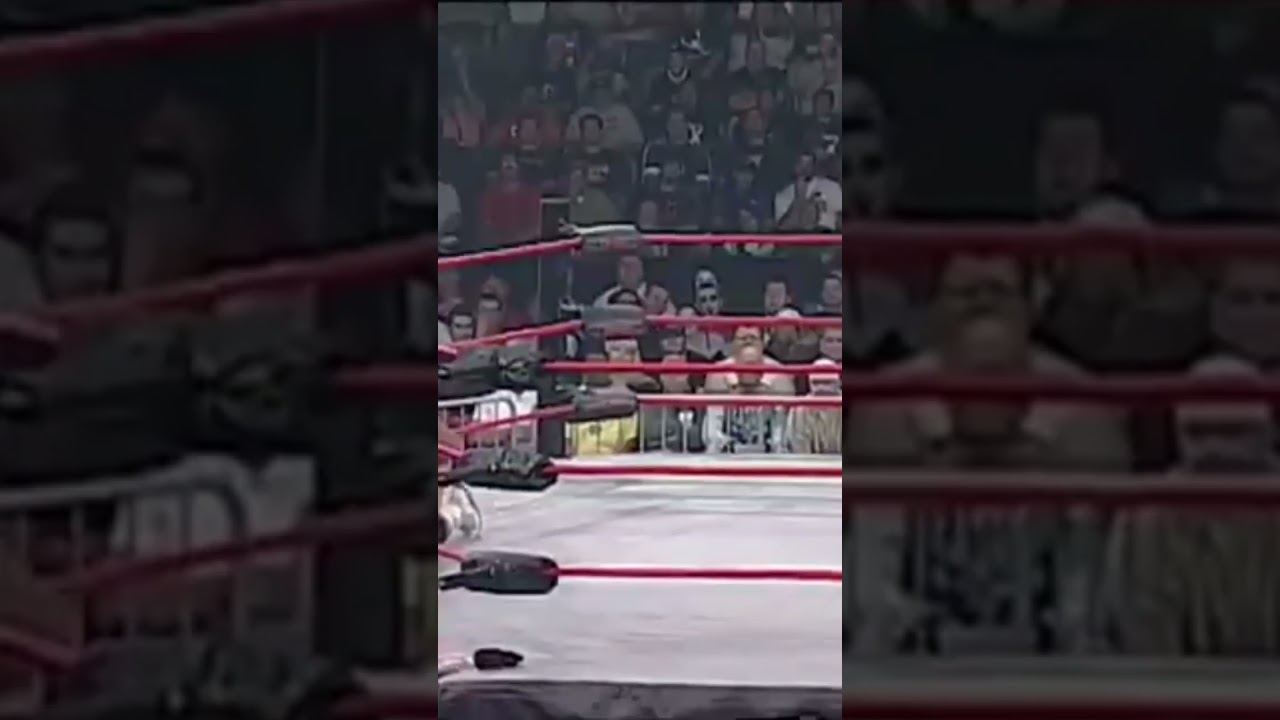 wwe women vs man full match - YouTube