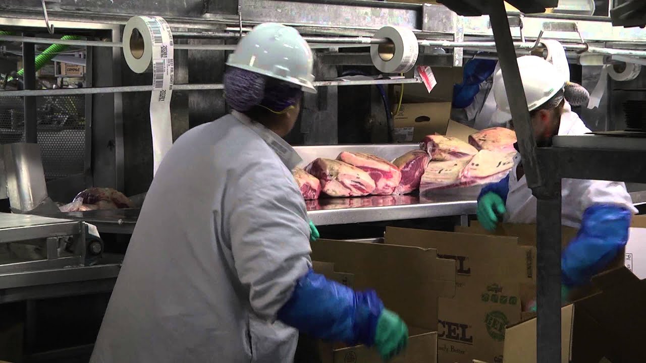 Cargill-Customers - YouTube