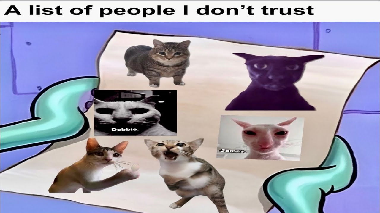 Evil larry is number one on my list || funny cat videos compilation ...