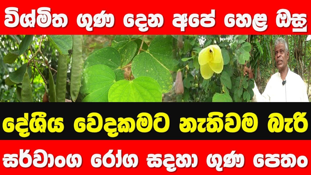 Ath Beheth Sinhala | Pethan | story eka - YouTube