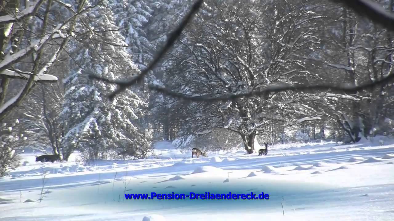 Birx / Rhön Winter Teil 4 HD - YouTube