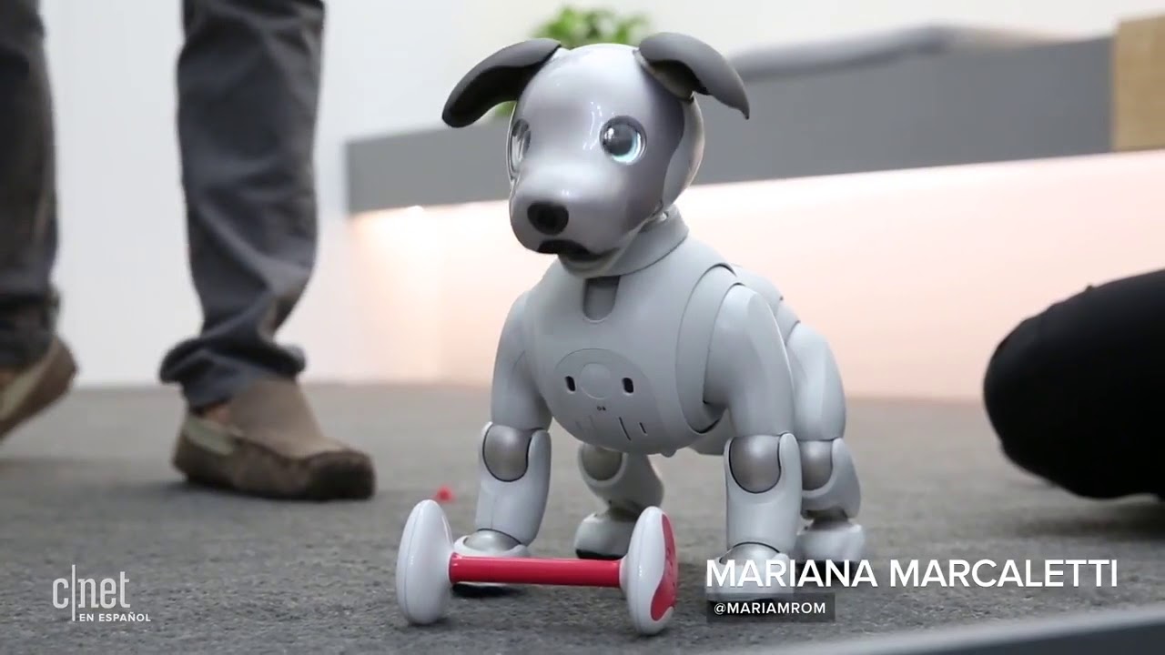 Aibo de Sony El perrito robot es más adorable en su segunda versión mp4 ...