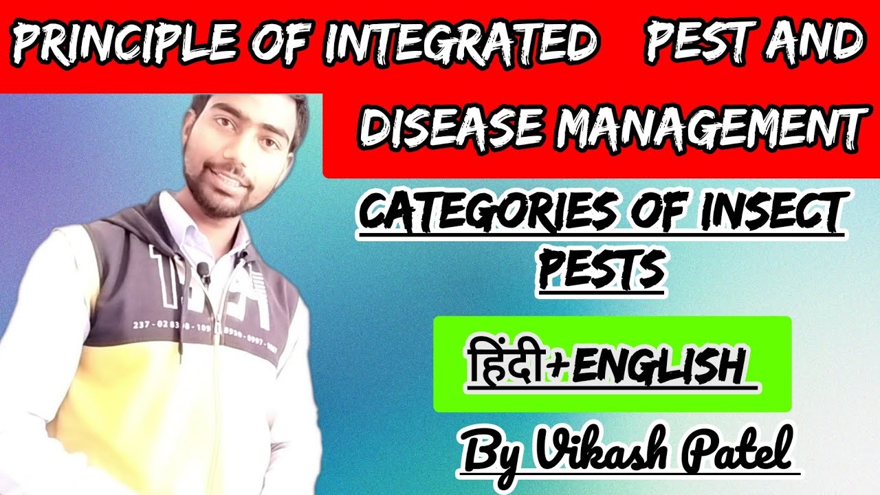 IPM || Categories of Insect Pests || Principle of Integrated Pest and ...