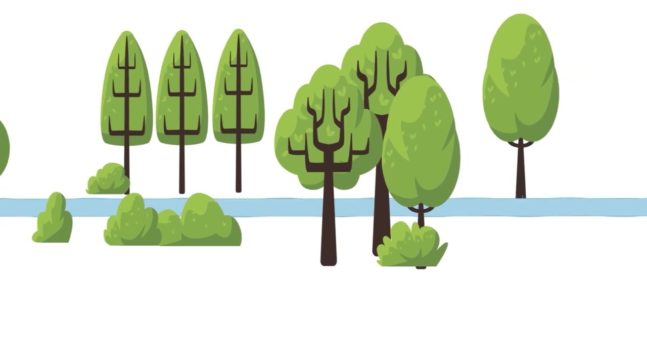 ¿Qué pasa, Riachuelo? Manual - Visualización - YouTube