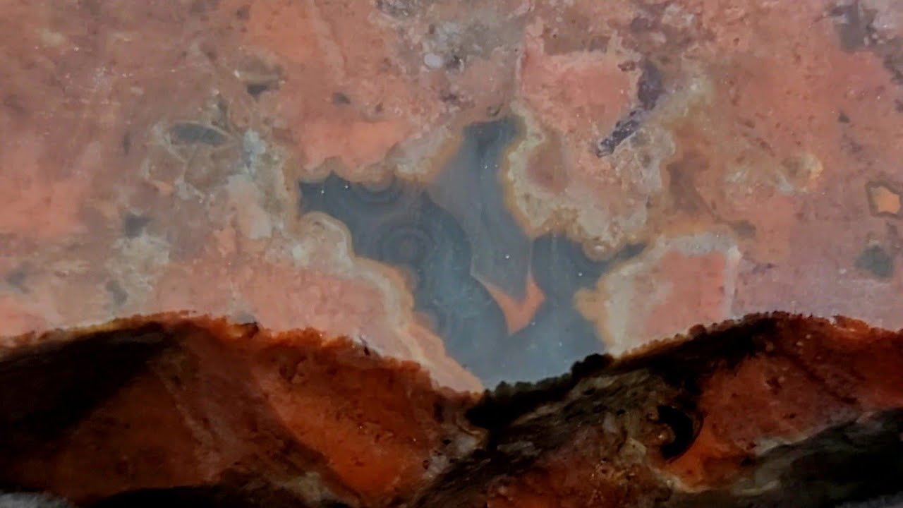 Gemstone Grade Red Conifer Limb Cast Slabs - YouTube