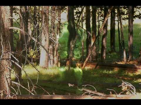 Predator Cloak Effect - YouTube