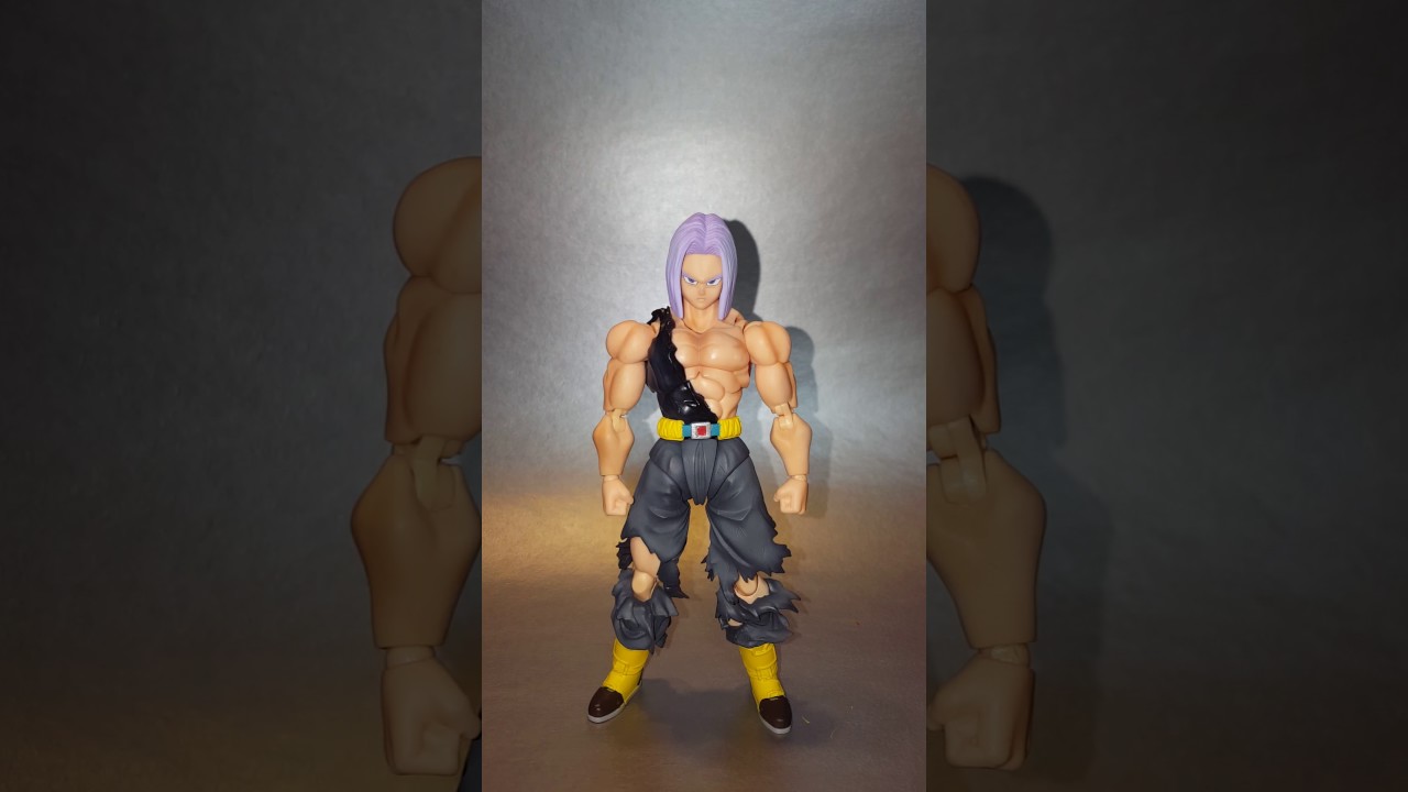 S.h.figuarts Future Trunks Battle Damaged Custom Figure from Dragon ...