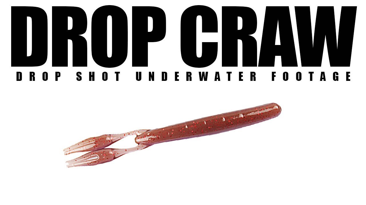 Drop Craw - Underwater Drop Shot - YouTube