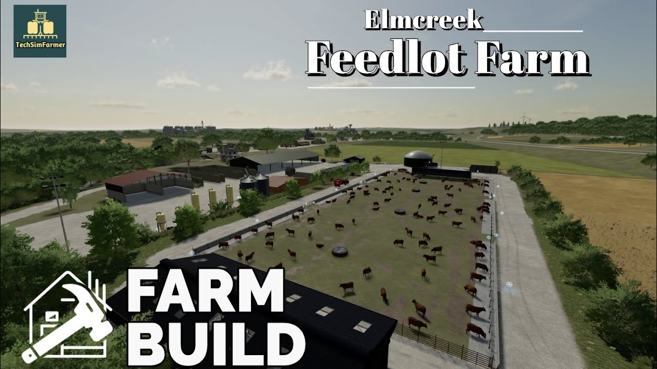 Unbelievable! Watch as We Transform an Empty Field into a Livestock ...