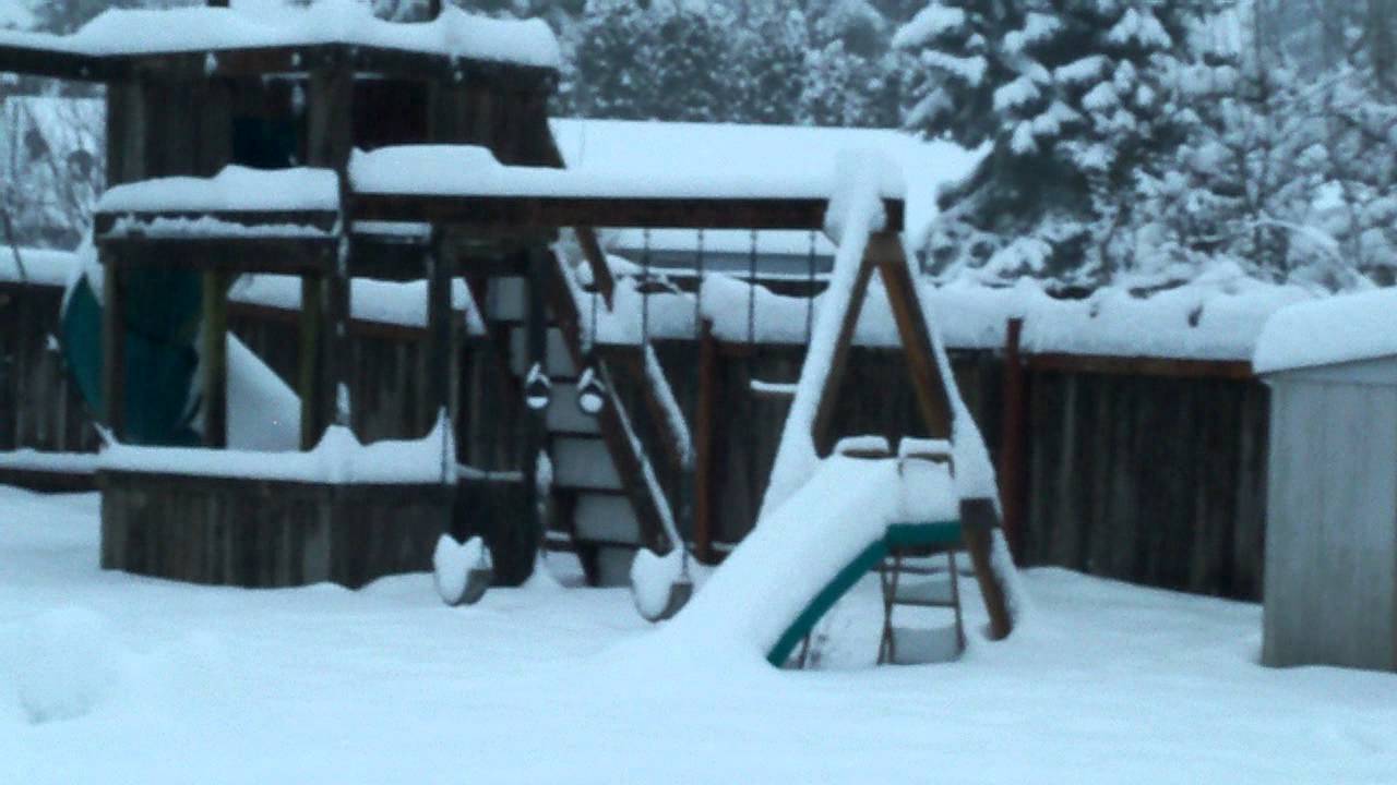 Lacey, WA Snow Storm 2012 - YouTube