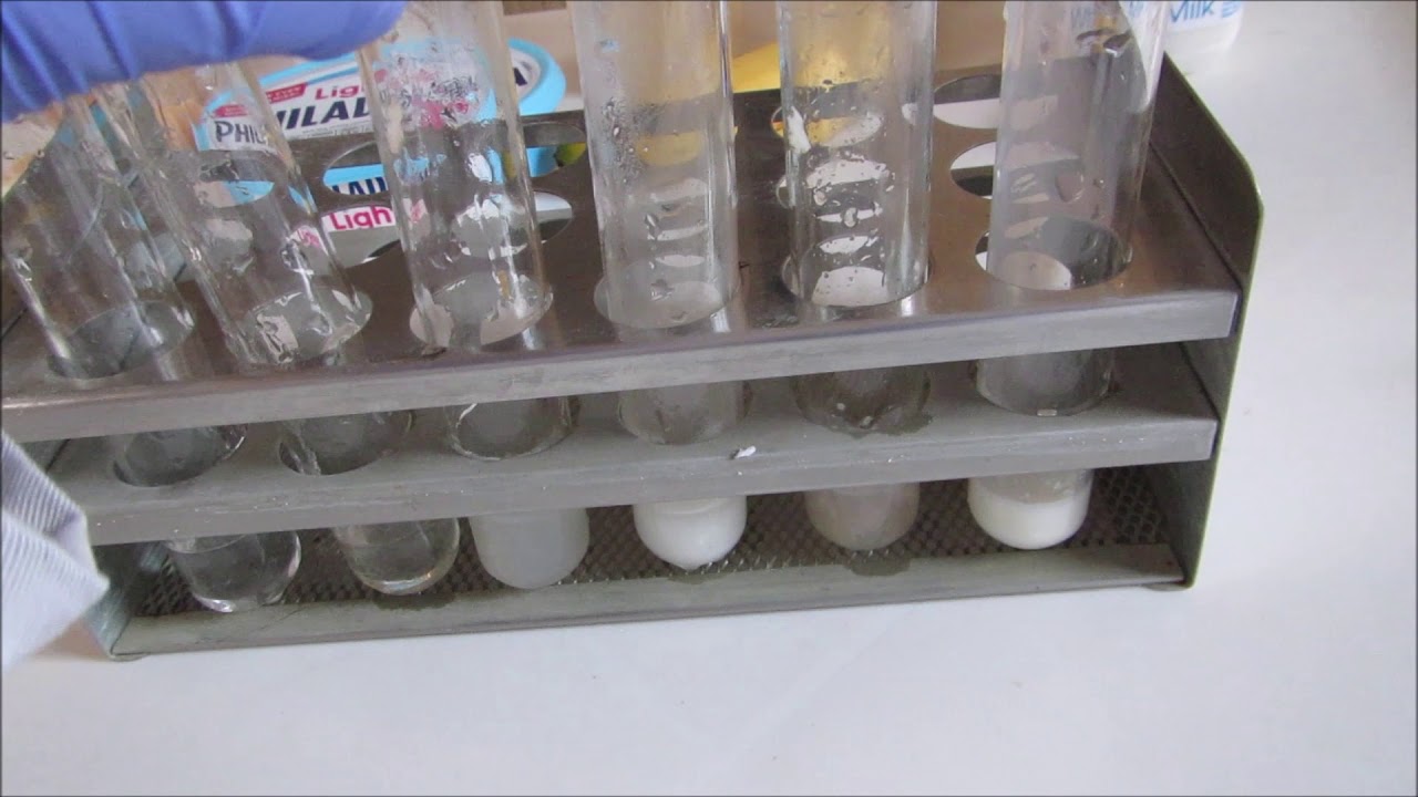 Testing foods for lipids (fats) - YouTube