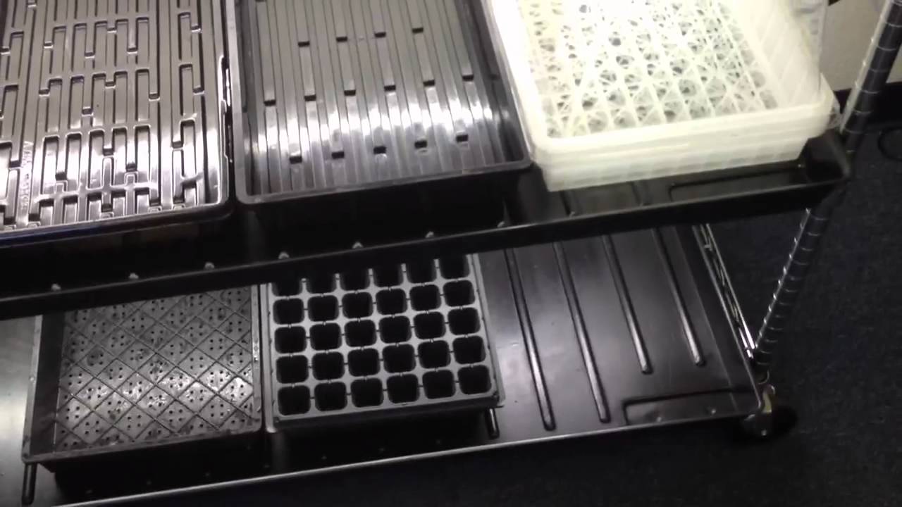 Microclone grow rack tray with Sunblaster lighting and FHD - YouTube