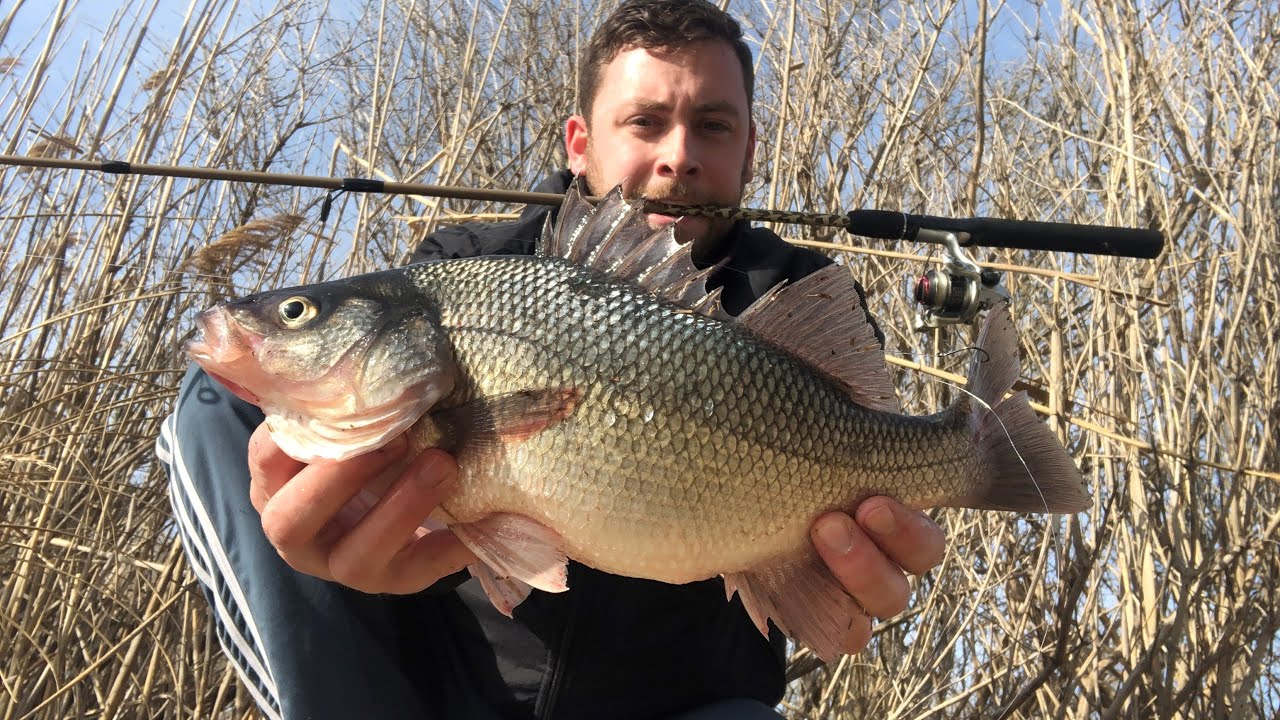 THROWBACK February 2020: My biggest White Perch! - YouTube