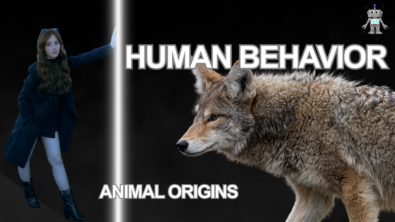 3 Human Behaviors With Animal Origins (You Still Use Them Daily) - YouTube