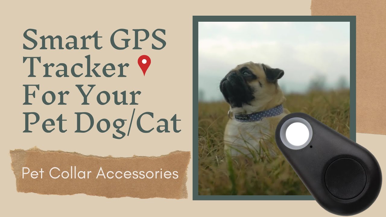 Pet Smart GPS Tracker Anti-Lost Pet Dog Cat Collar Key | Cutesy - YouTube