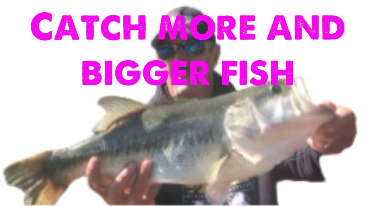 How to catch more and bigger fish - YouTube