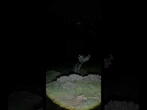 TÜRKIYEDE ANKARA. CIN DERESI  PARANORMAL VAKA DAVUL SESLERI 