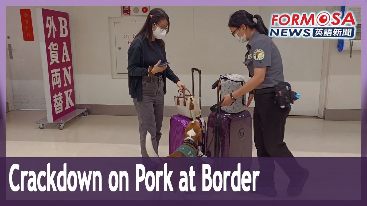 The government steps up border inspections to keep ASF at bay - YouTube