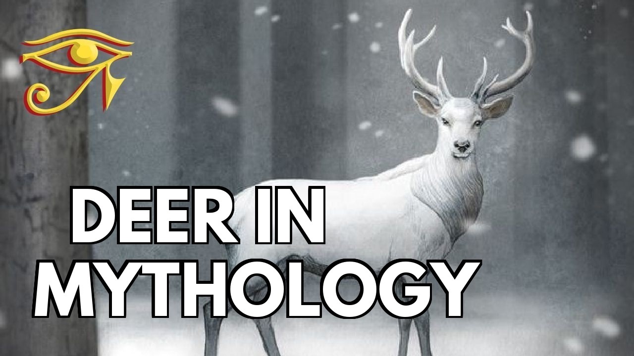Deer in Mythology & Folklore - YouTube