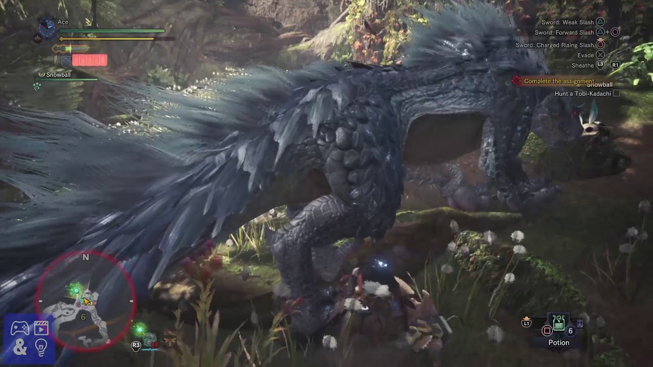 Monster Hunter World Gameplay - How to Kill the Tobi Kadachi - PS4 ...