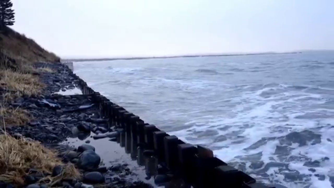 Jan 12, 2016 - YouTube