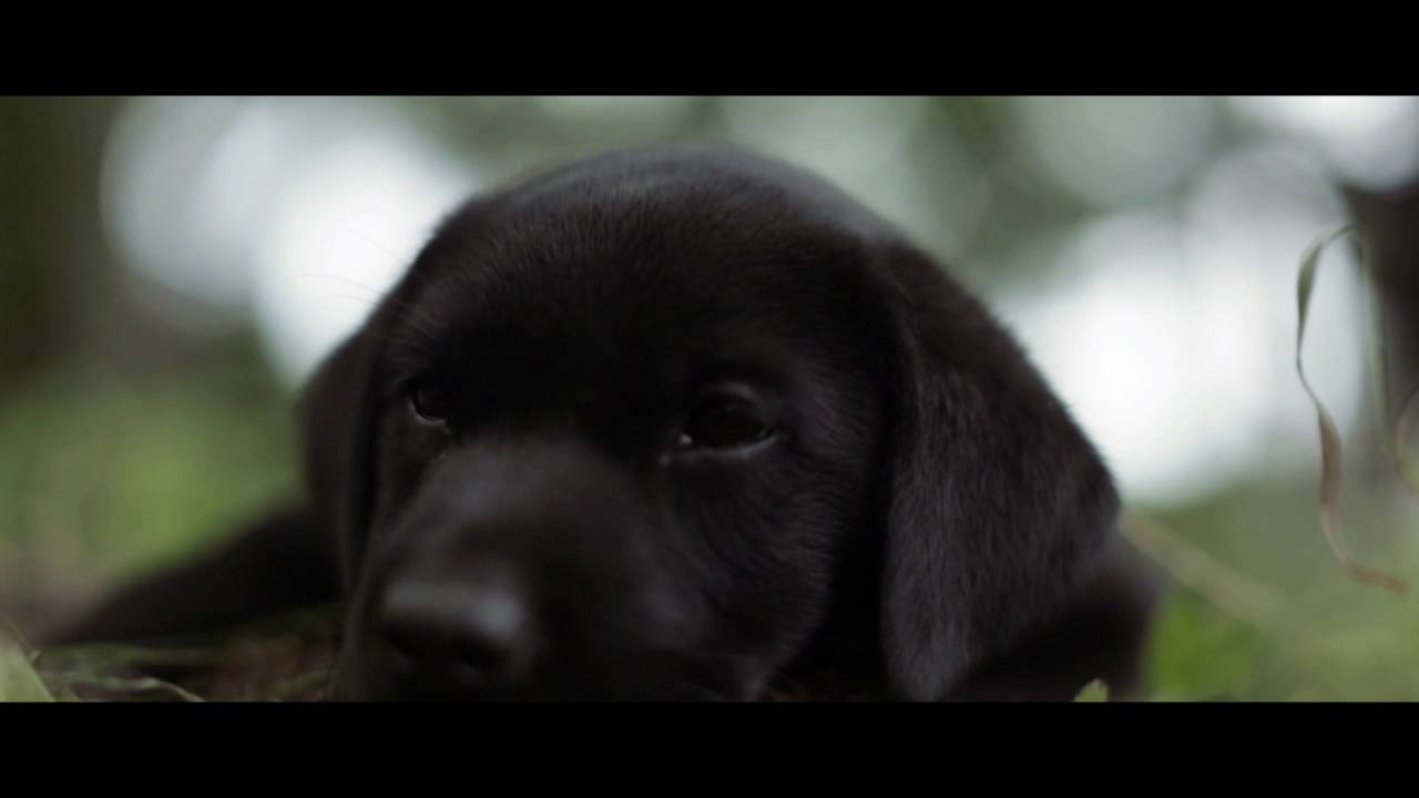 Raised Hunting - Ole Dan - Outdoor Channel - YouTube