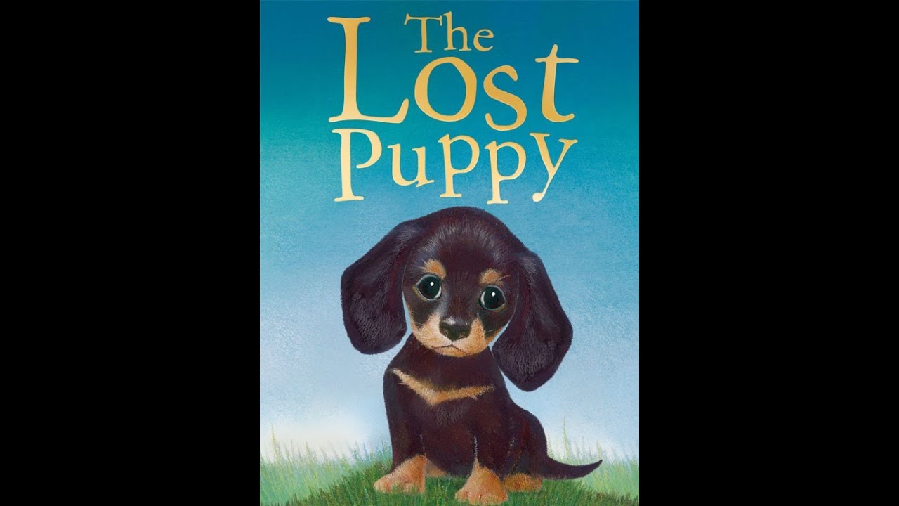 The Lost Puppy's Adventure - Develop your kid's listening Skills - YouTube