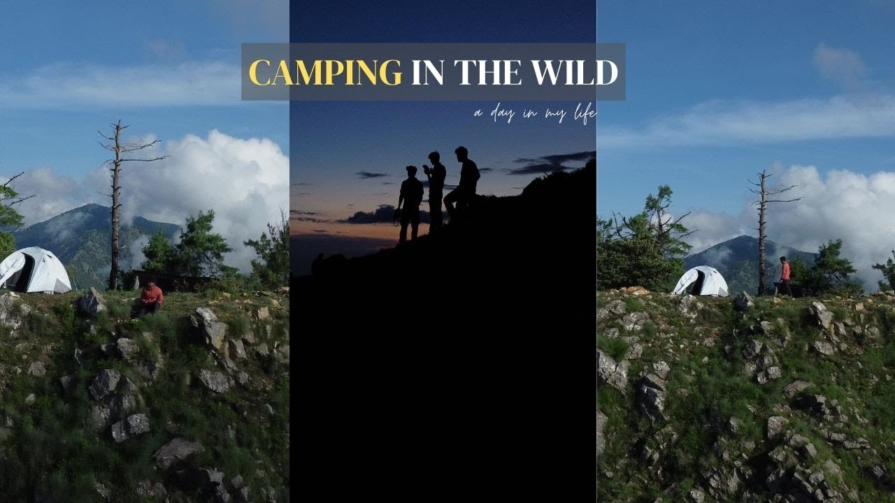 Night Camping In Uttarakhand Wild Forest | Wild Forest Camping In India ...