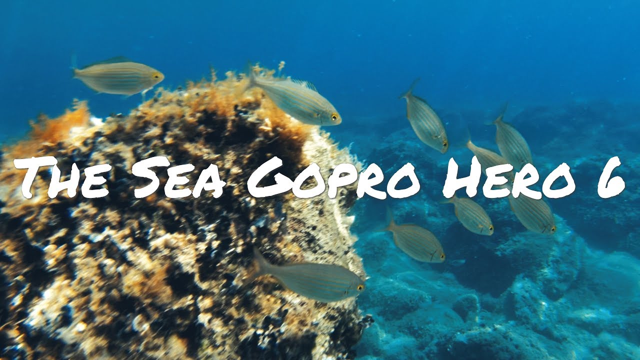 The Sea in 4k (Gopro Hero 6 coral reefs) - YouTube