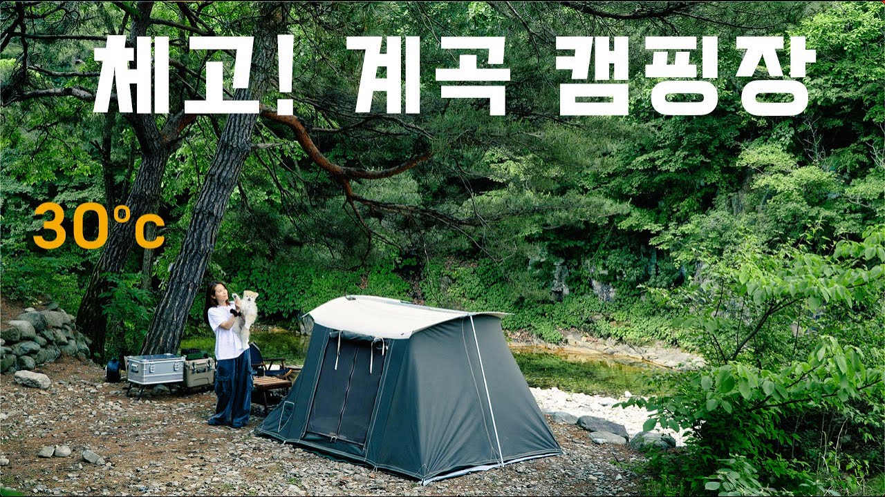 역대급 계곡캠핑장 여름캠핑방법 햄버그스테이크와 새우볶음밥 솔로캠핑 미니멀캠핑 캠핑asmr 캠핑브이로그 Youtube