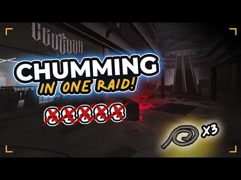 Chumming Complete! - Escape From Tarkov Gameplay - YouTube