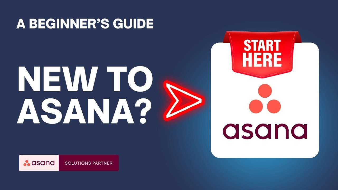 Asana for Beginners Key Terms You Need to Know to Get Started - YouTube