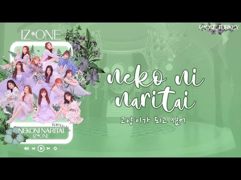 [TÜRKÇE ALTYAZILI] IZ*ONE - Nekoni Naritai (Korece Versiyon)