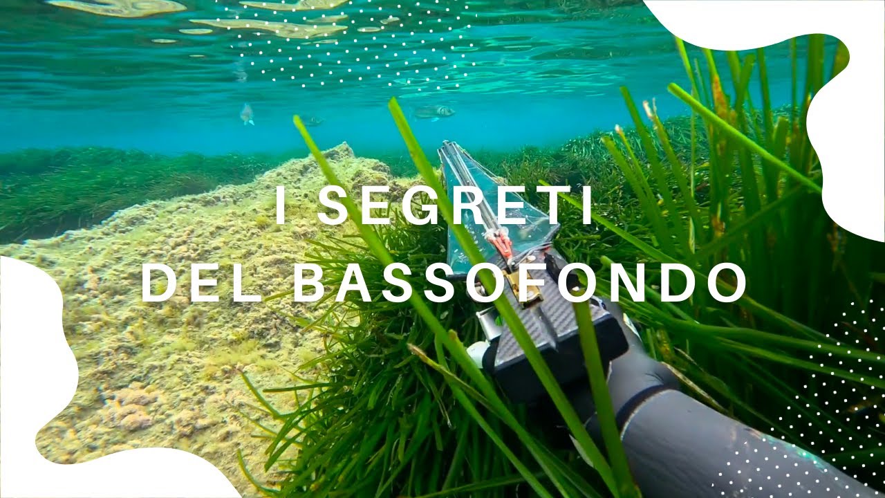 BASSOFONDO ESTREMO: TRUCCHI, SEGRETI, CONSIGLI PER INIZIARE [PESCASUB ...