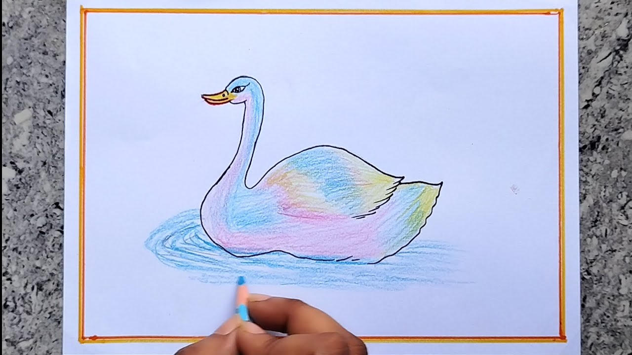 Easy colourful Swan drawing for childrens | Poster drawing of Swan |# ...