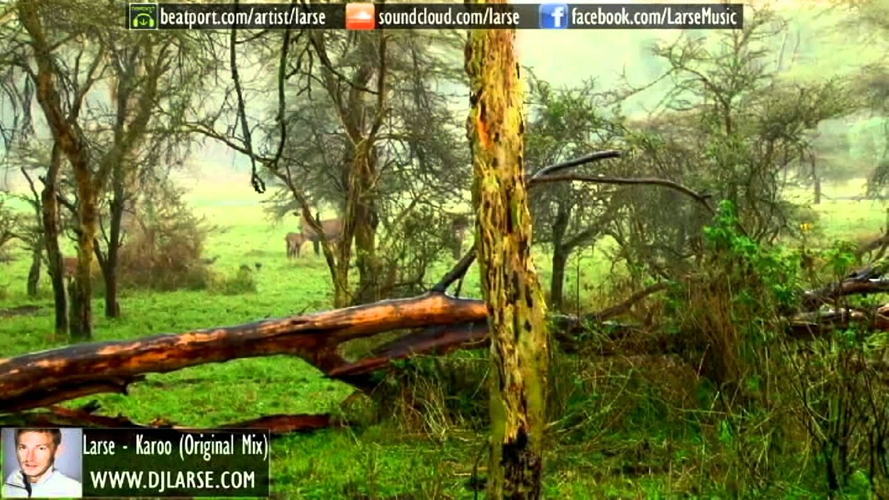 Larse - Karoo (Original mix) - YouTube
