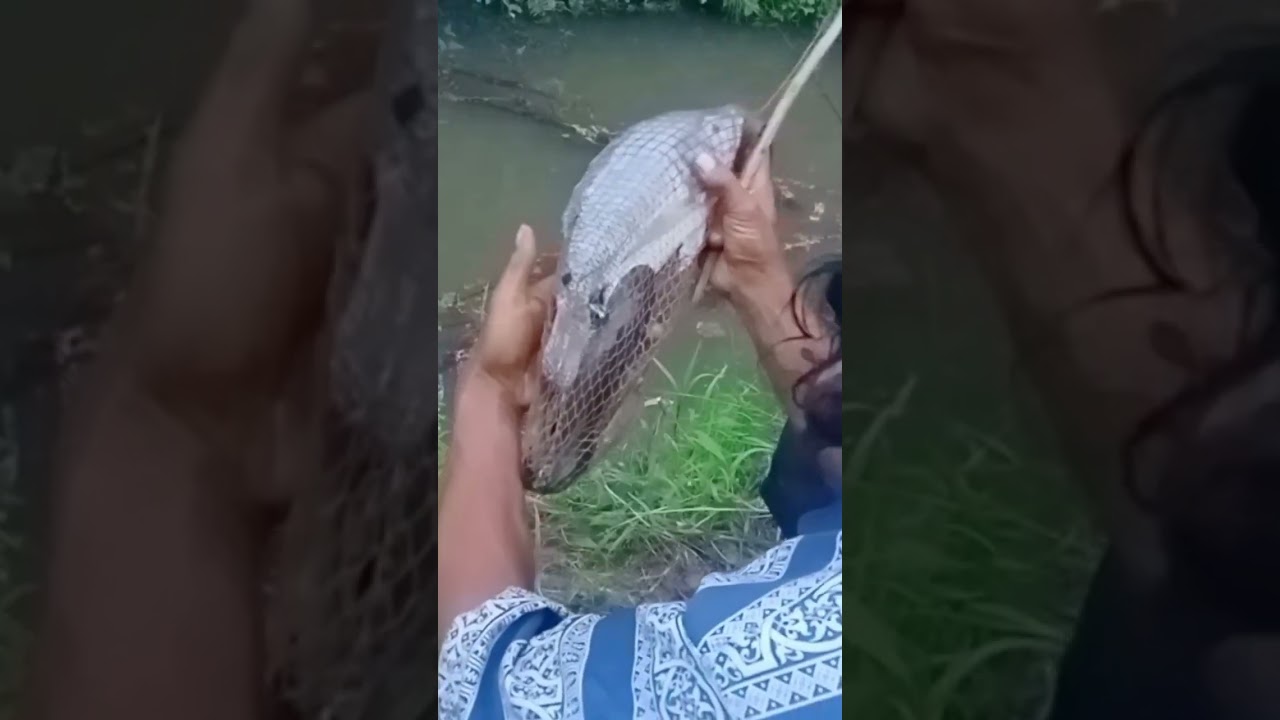 SEPOT BARU - YouTube