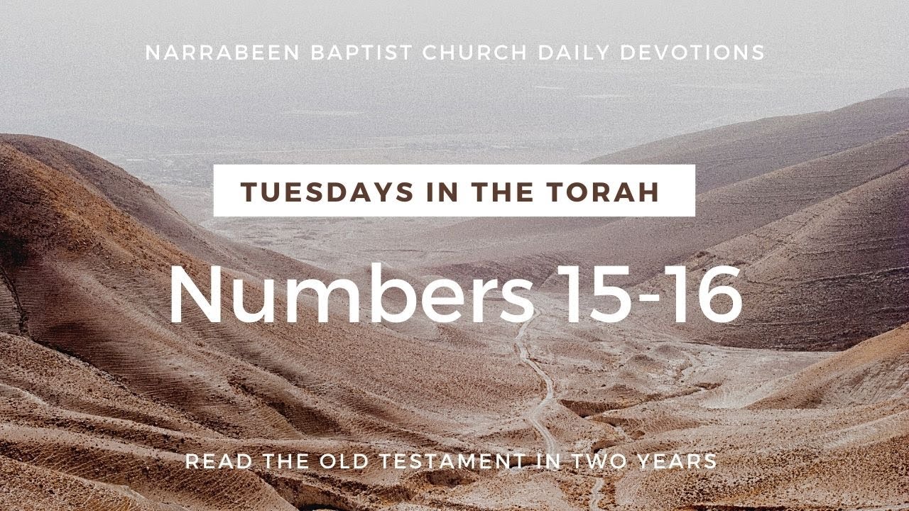 Reading Through the OT: Numbers 15-16 - YouTube