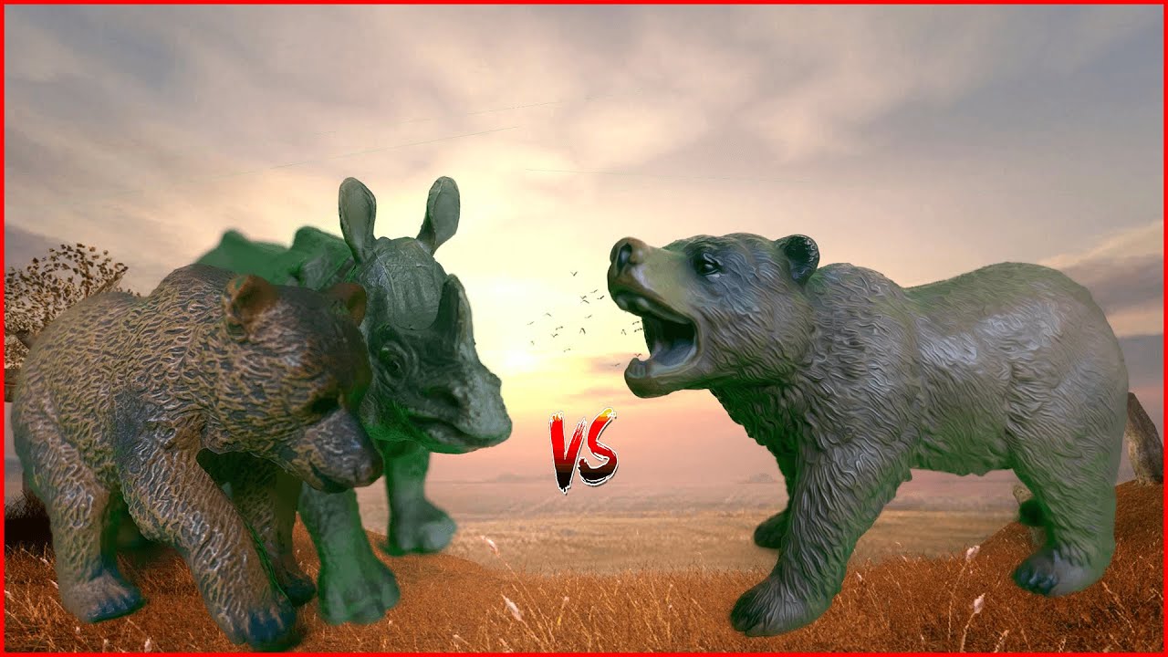 rhino vs bears - YouTube