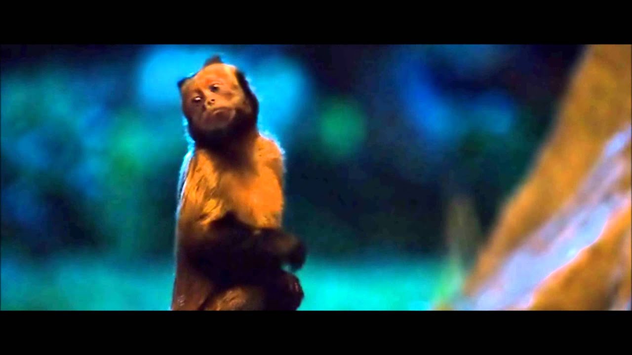 Zookeeper - Its all about the thumbs baby (HD) - YouTube