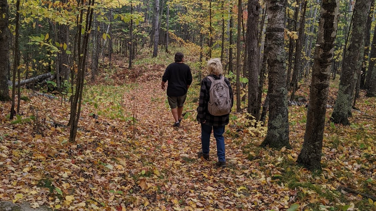 The Gospel of Luke, Chapter 7 || Jesus Heals a Centurion's Servant and ...