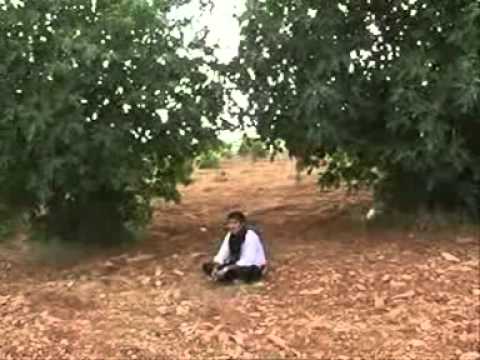 GARİP KAÇAR 2