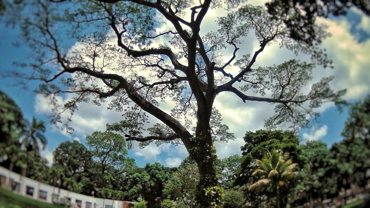 Recorrido por el municipio Chacao en Caracas Venezuela - YouTube