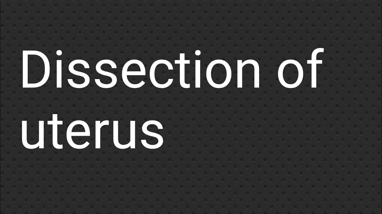 Dissection of uterus - YouTube
