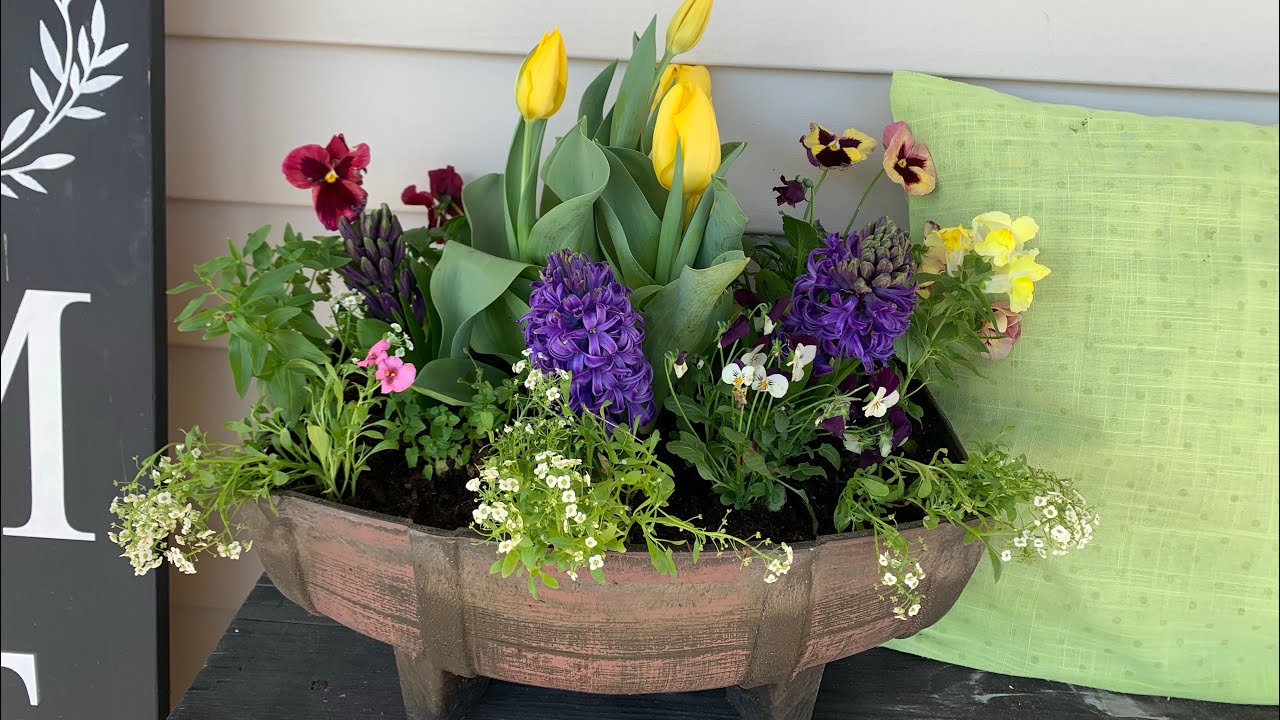 Planting the first Spring containers & projects you’ll see happening ...