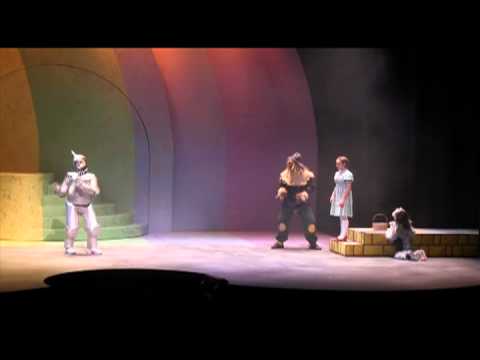 Tinman Dance - YouTube