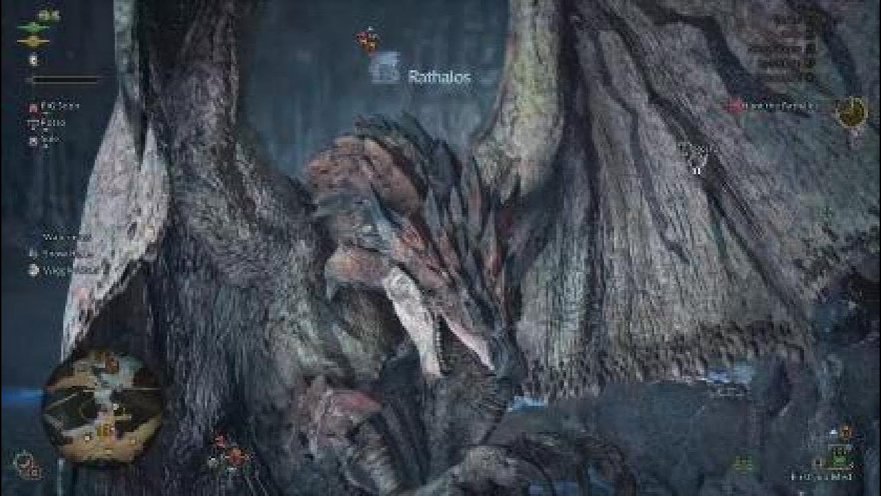 Monster Hunter Wilds - Rathalos Hunt - YouTube