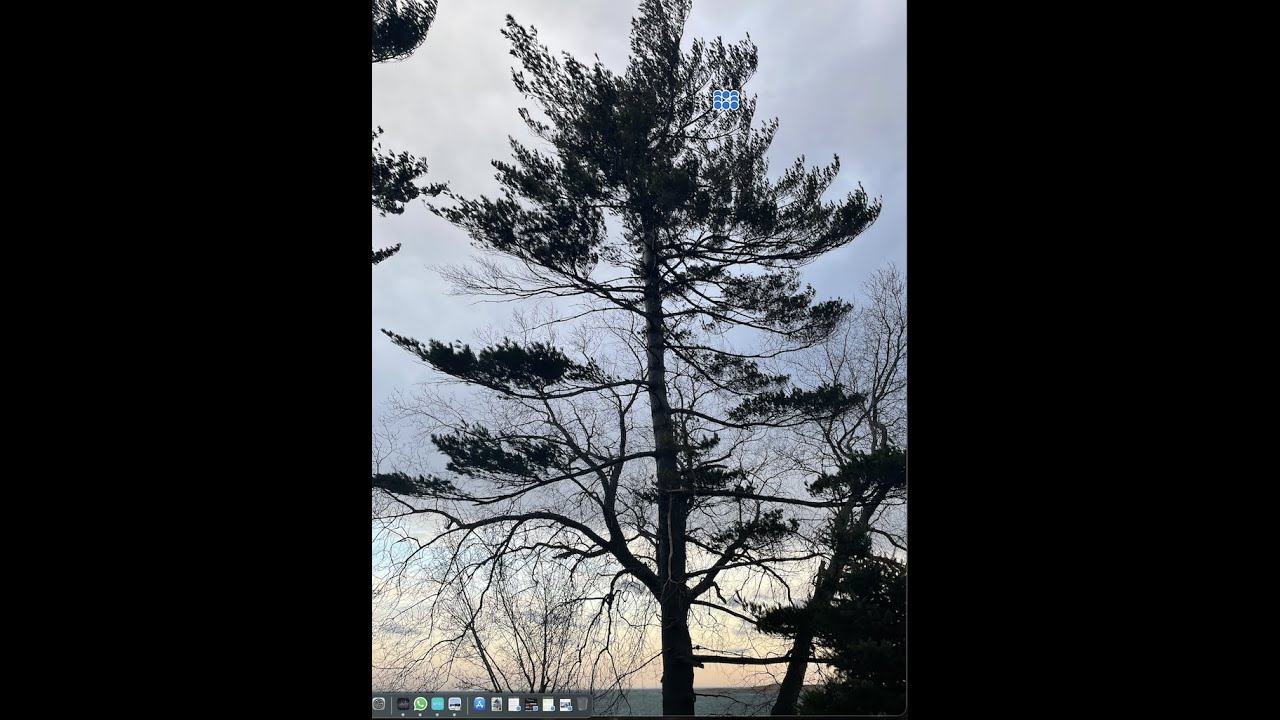 Windy Day 11 March 2021 HD 1080p - YouTube