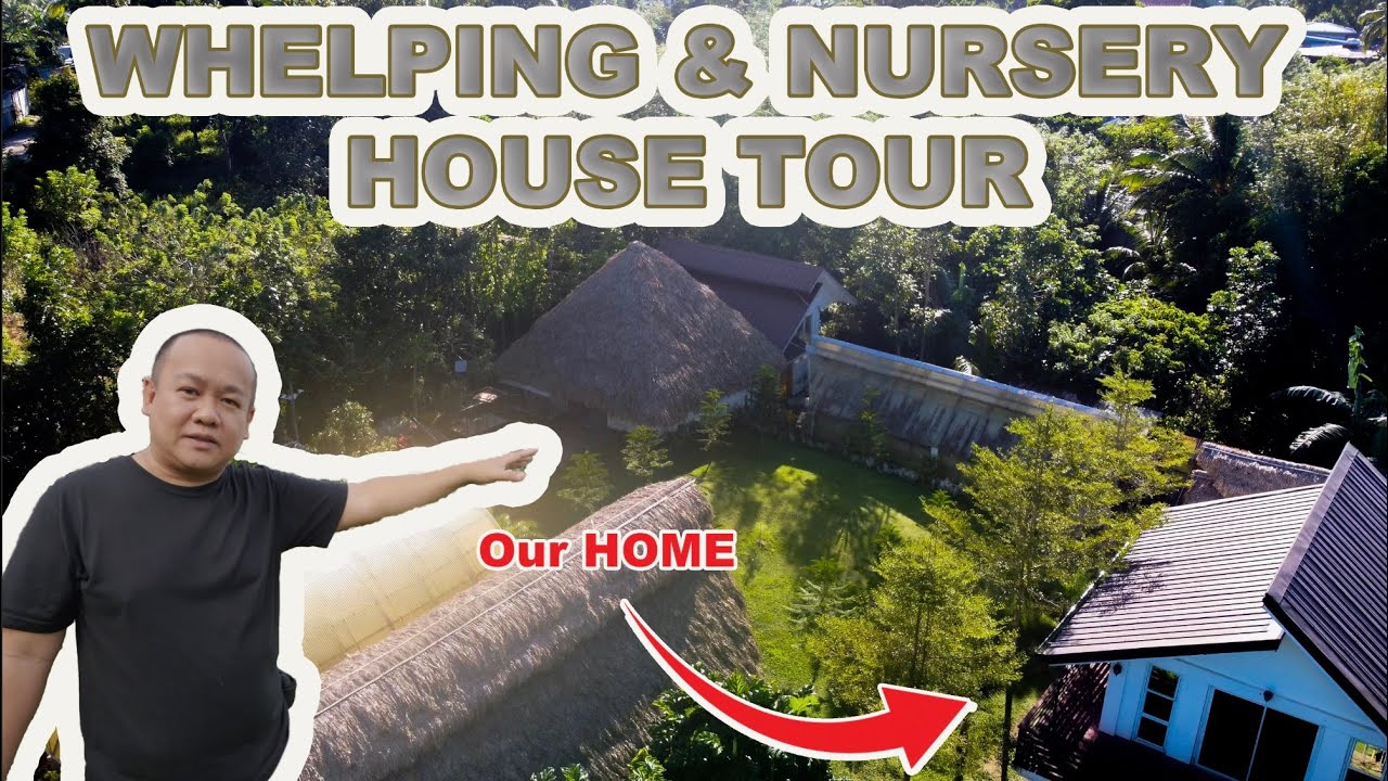 Supero Dog Farm's Whelping and Nursery House Tour - YouTube