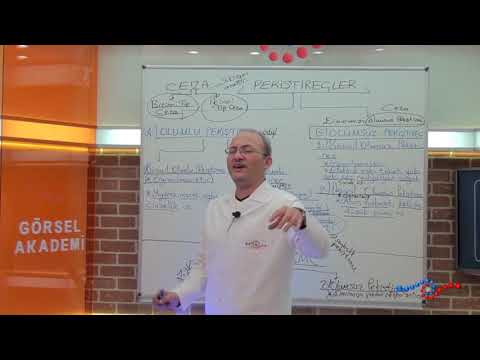 Öğrenme Psikolojisi - Ceza Nedir ?